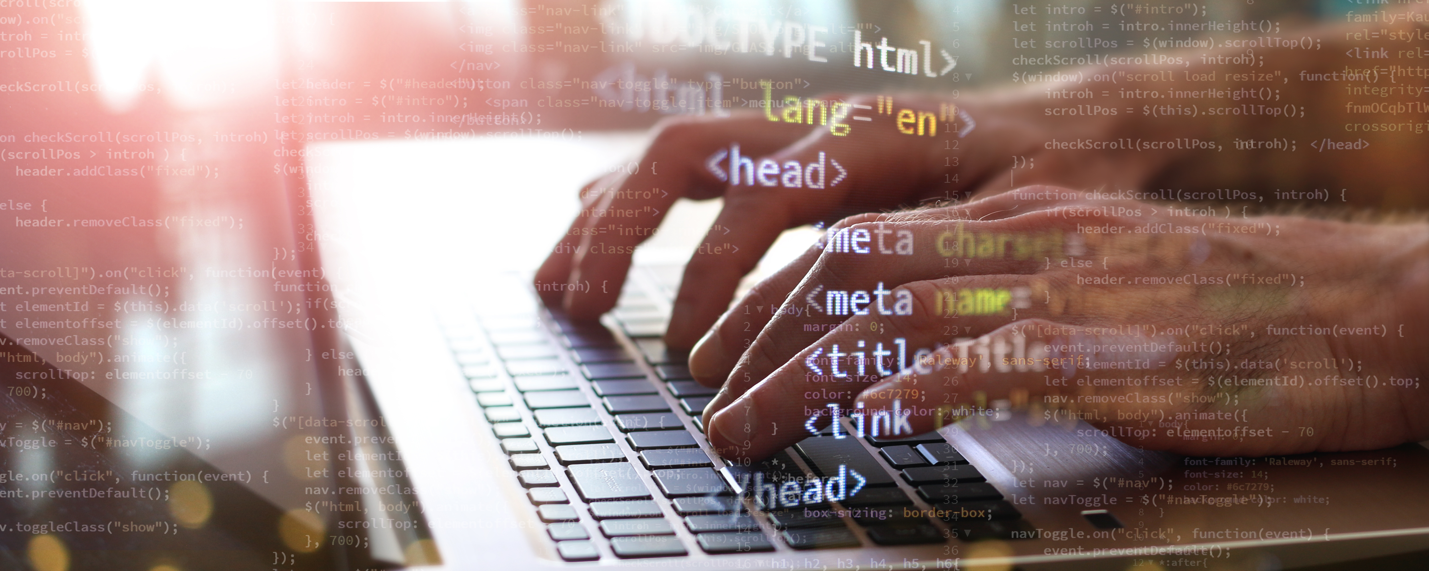 Coding for Adults: Newbies Only | Programming Librarian