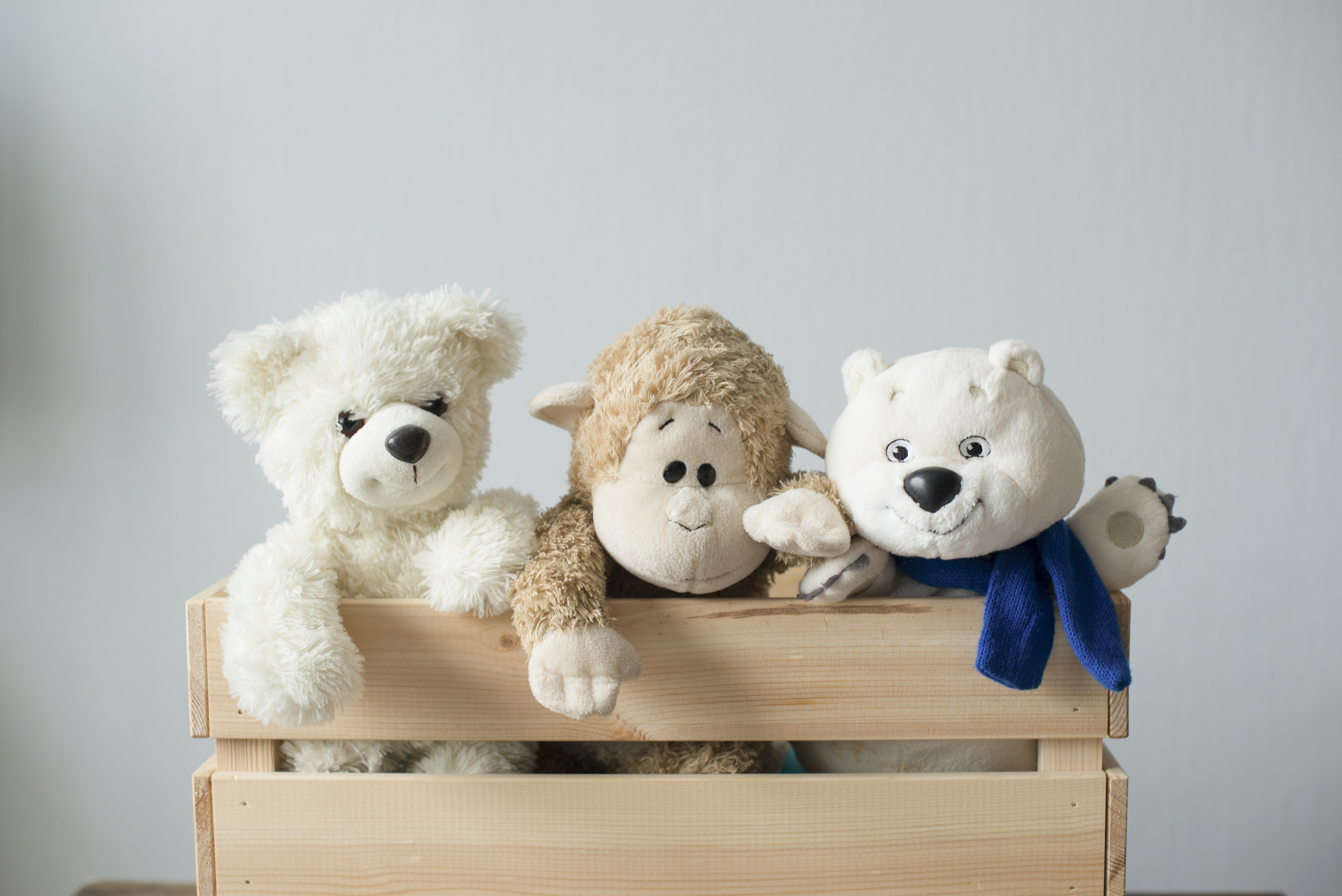 Stuffed Animal Taxidermy | Programming Librarian