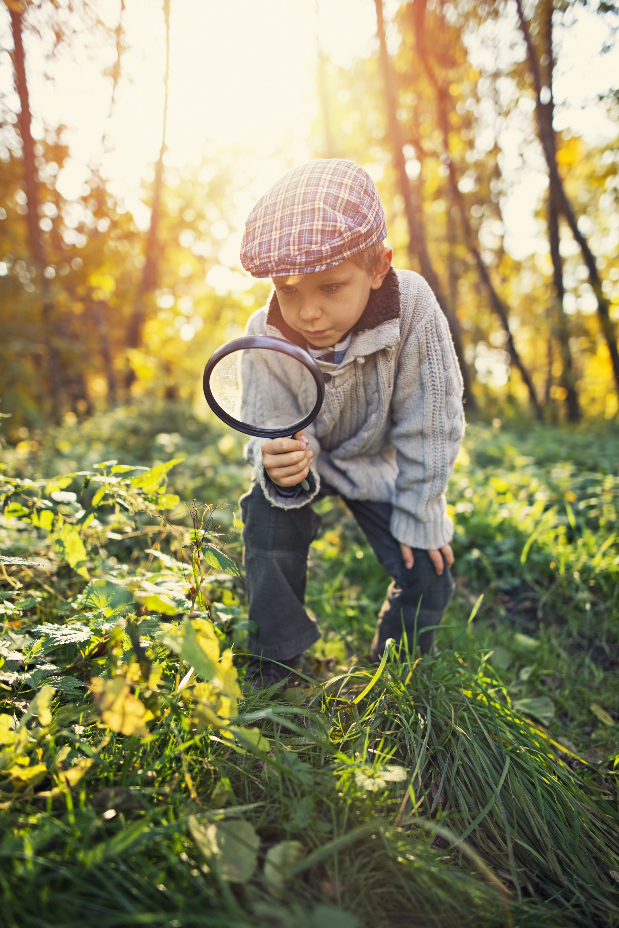 Nature Detective Workshops for Kids | Programming Librarian
