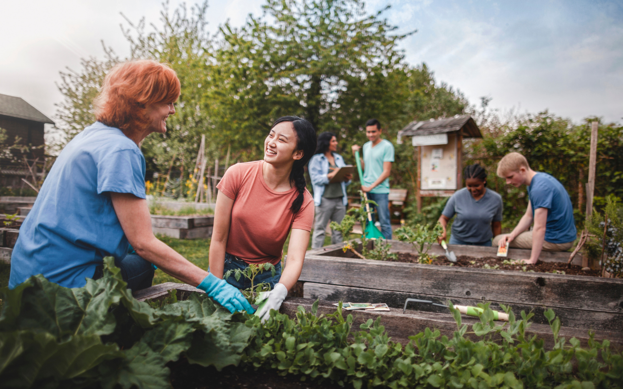 From Local Outcomes to National Impacts: Tracing How Library Programs ...
