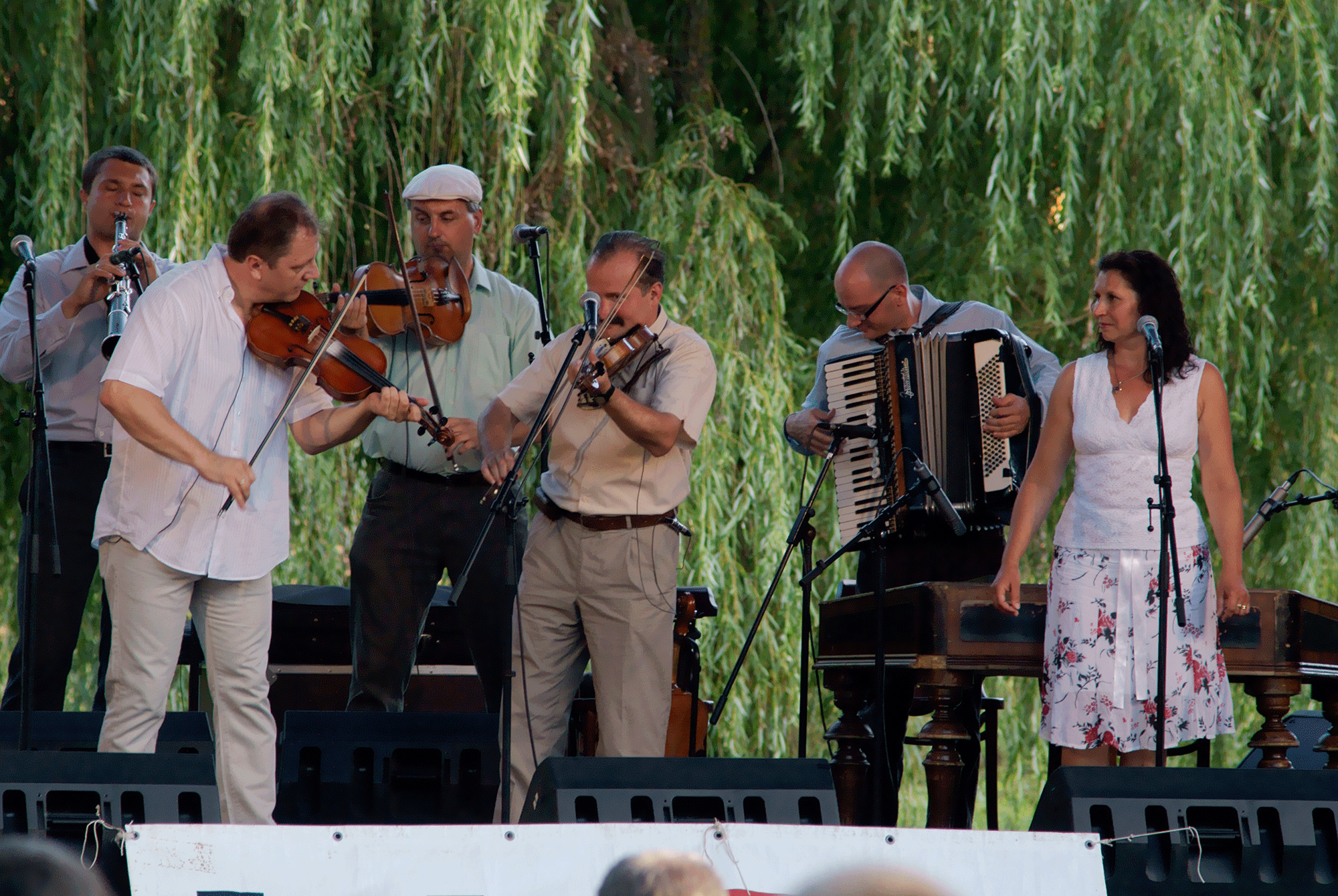 Concerts in the Courtyard | Programming Librarian