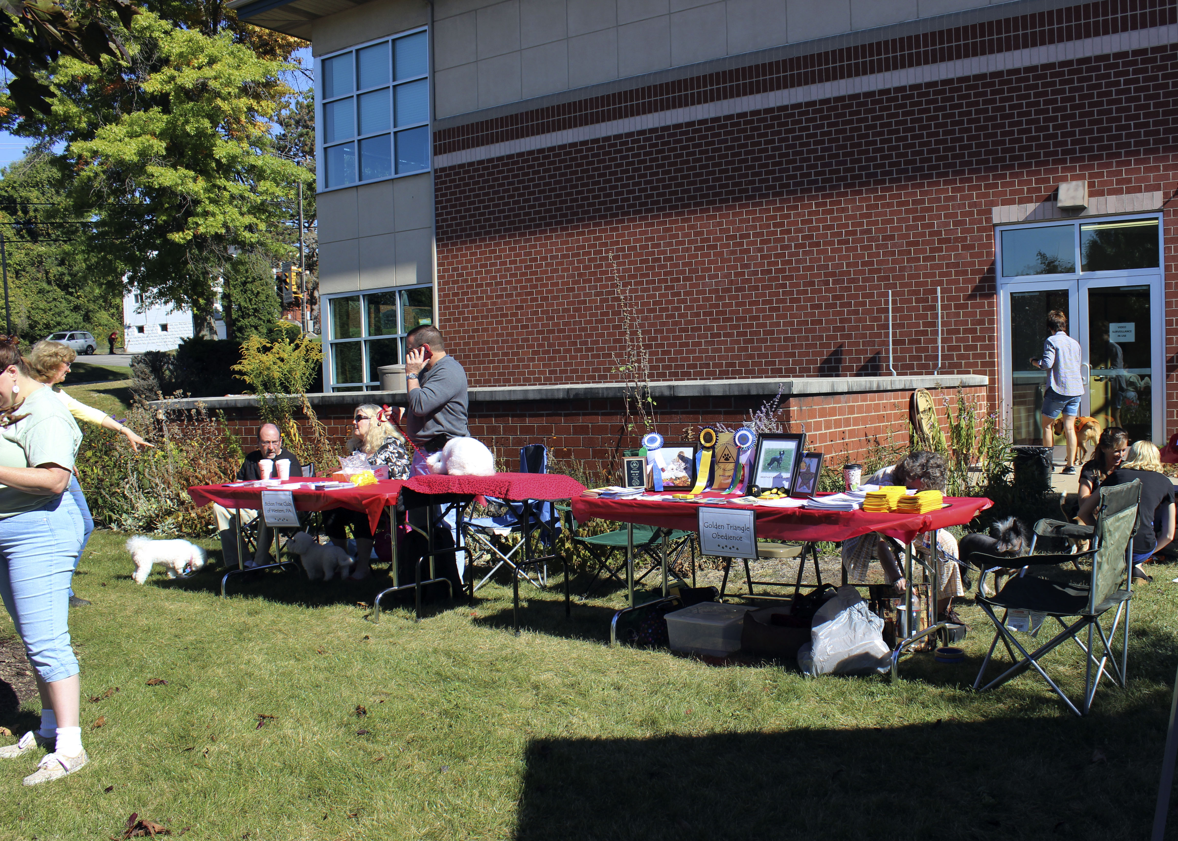 Animal Fair | Programming Librarian